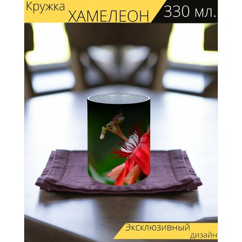 Кружка хамелеон с принтом "Пассифлора, цветок страсти, красные лепестки" 330 мл.