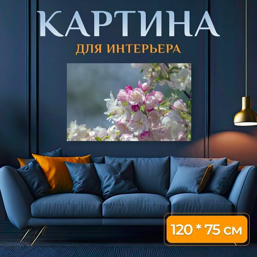 Картина на холсте "Цвести, весна, блум" на подрамнике 120х75 см. для интерьера