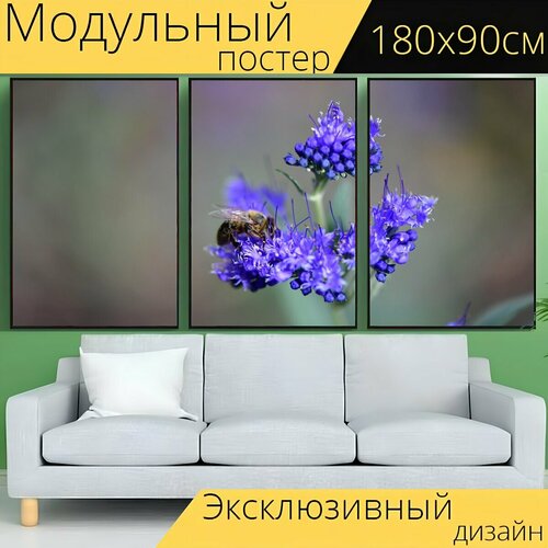 Модульный постер "Синий, цветок, цвести" 180 x 90 см. для интерьера