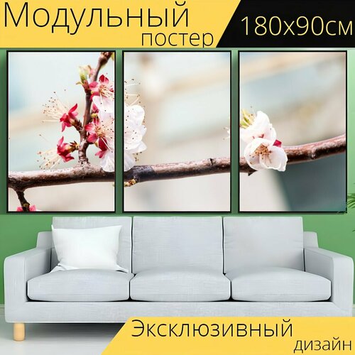 Модульный постер "Весна, цветок, завод" 180 x 90 см. для интерьера