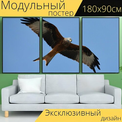 Модульный постер "Животное, птица, хищник" 180 x 90 см. для интерьера