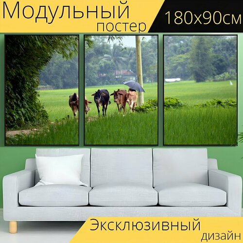 Модульный постер "Коровы, телец, ферма" 180 x 90 см. для интерьера
