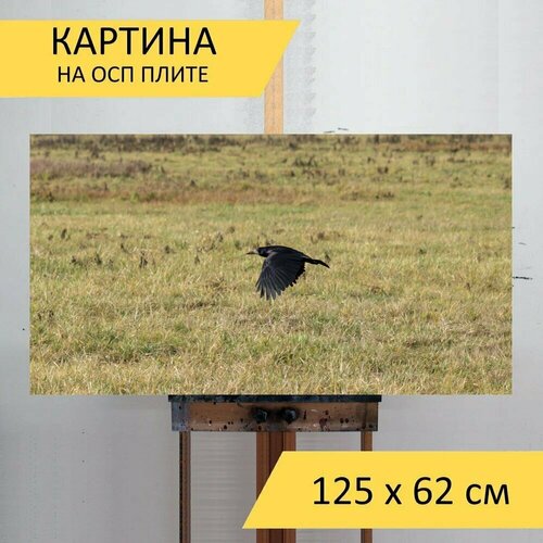 Картина на ОСП 125х62 см. "Ворона, птица, черный" горизонтальная, для интерьера, с креплениями