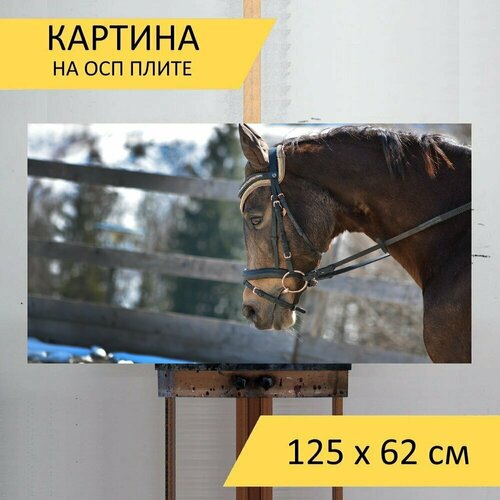 Картина на ОСП 125х62 см. "Лошадь, конный спорт, пони" горизонтальная, для интерьера, с креплениями