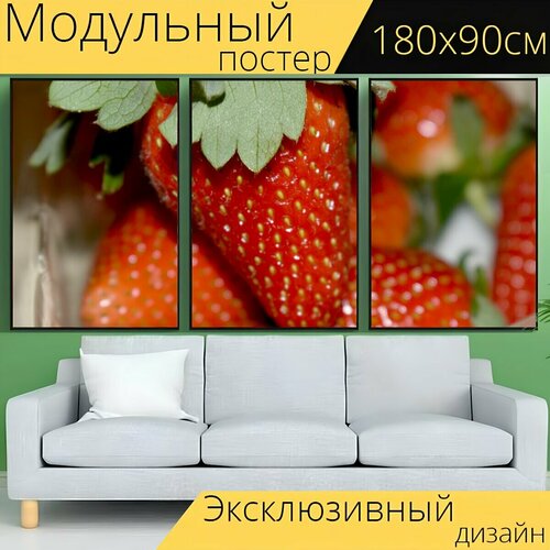 Модульный постер "Клубника, чашелистик, ягода" 180 x 90 см. для интерьера