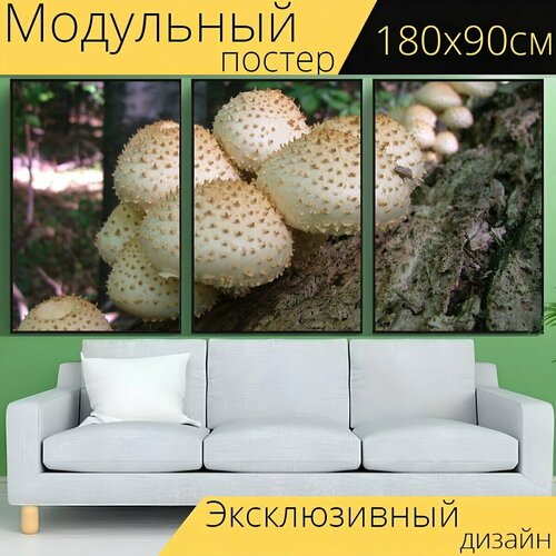 Модульный постер "Журналы, гриб, лес" 180 x 90 см. для интерьера