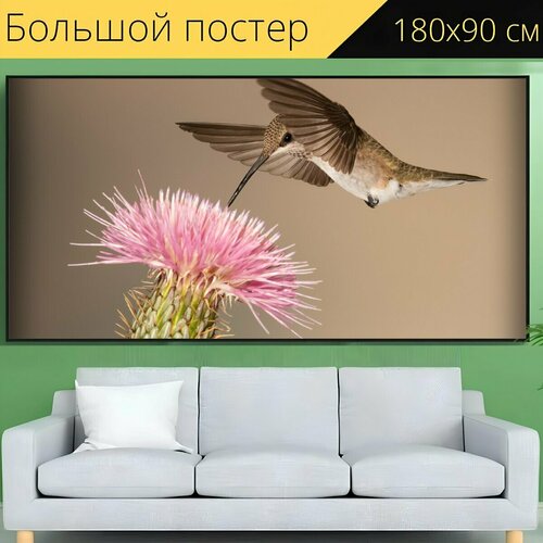 Большой постер "Колибри, птица, природа" 180 x 90 см. для интерьера