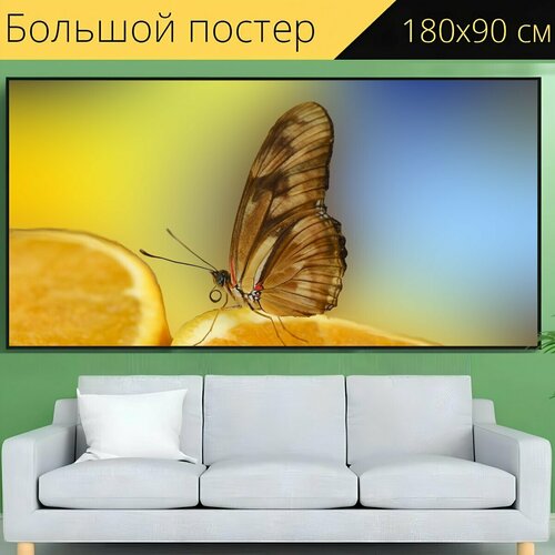 Большой постер "Бабочка, бабочки, насекомое" 180 x 90 см. для интерьера
