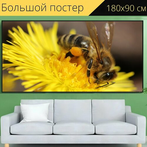Большой постер "Пчела, цветок, насекомое" 180 x 90 см. для интерьера
