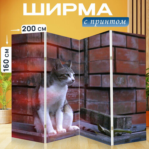 Ширма перегородка с принтом "Кошка, животные, собака" на холсте - 200x160 см. для зонирования, раскладная