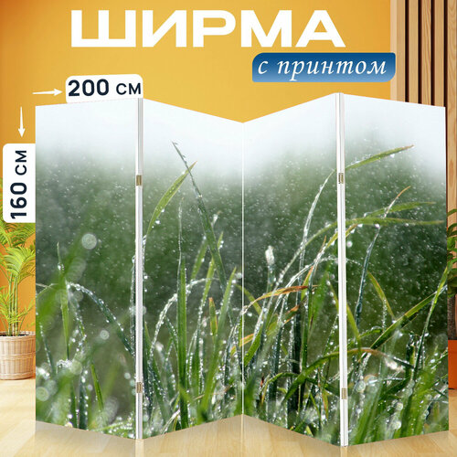 Ширма перегородка с принтом "Дождь, трава, влажный" на холсте - 200x160 см. для зонирования, раскладная