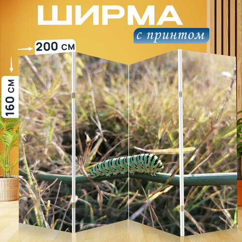 Ширма перегородка с принтом "Гусеница, насекомое, животное" на холсте - 200x160 см. для зонирования, раскладная
