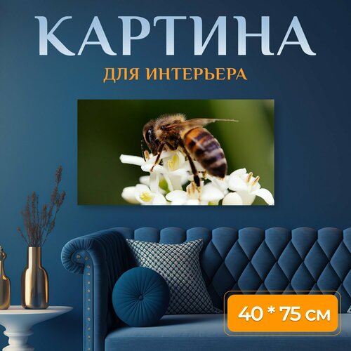 Картина на холсте "Пчела, насекомое, макрос" на подрамнике 75х40 см. для интерьера