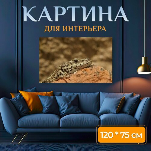 Картина на холсте "Ящерица, рептилия, природа" на подрамнике 120х75 см. для интерьера