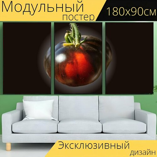 Модульный постер "Помидор, черный помидор, овощи" 180 x 90 см. для интерьера
