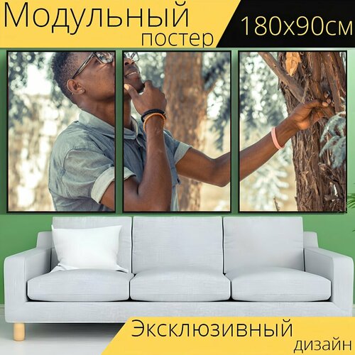 Модульный постер "Дерево, природа, древесина" 180 x 90 см. для интерьера