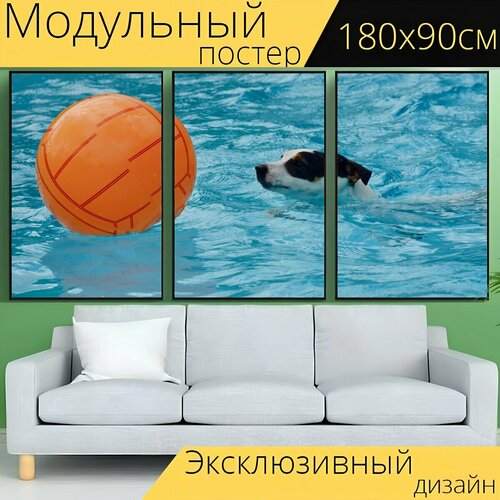 Модульный постер "Джек рассел, плавательный бассейн, собака" 180 x 90 см. для интерьера
