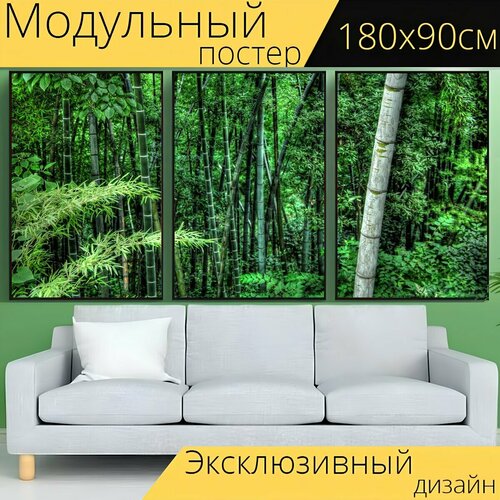 Модульный постер "Бамбук, растительность, зеленый" 180 x 90 см. для интерьера