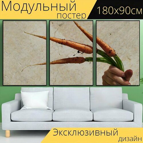 Модульный постер "Морковь, овощи, уборка урожая" 180 x 90 см. для интерьера