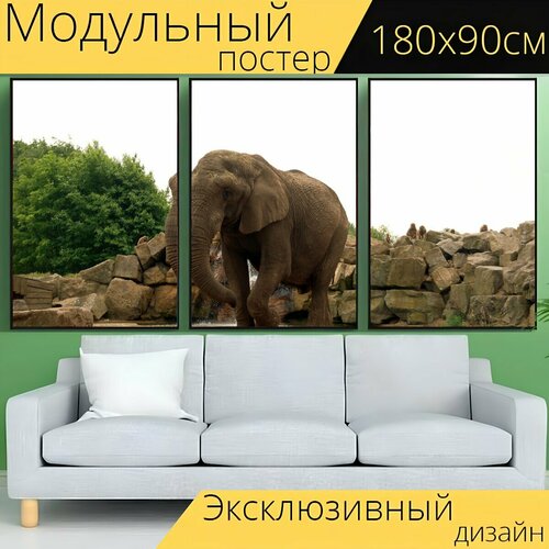 Модульный постер "Слон, зоопарк, природа" 180 x 90 см. для интерьера