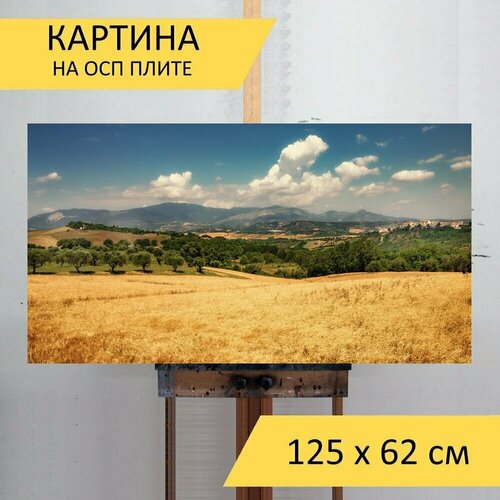 Картина на ОСП 125х62 см. "Пшеница, желтый, пейзаж" горизонтальная, для интерьера, с креплениями