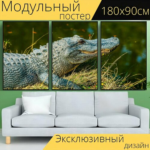 Модульный постер "Аллигатор, рептилия, дикая природа" 180 x 90 см. для интерьера