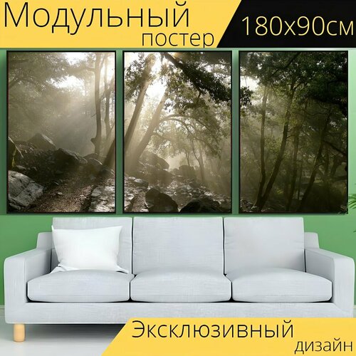 Модульный постер "Деревья, горные породы, солнечный свет" 180 x 90 см. для интерьера