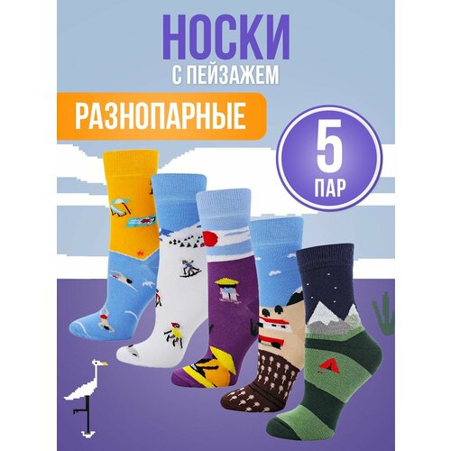 Носки Big Bang Socks, 5 пар, размер 40-44, мультиколор