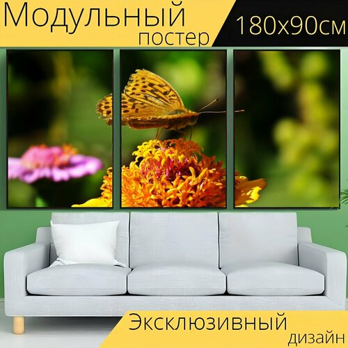 Модульный постер "Бабочка, цветочная пыльца, цинния" 180 x 90 см. для интерьера