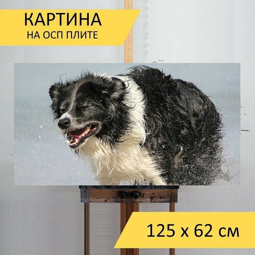 Картина на ОСП 125х62 см. "Собака, мокрый, озеро" горизонтальная, для интерьера, с креплениями