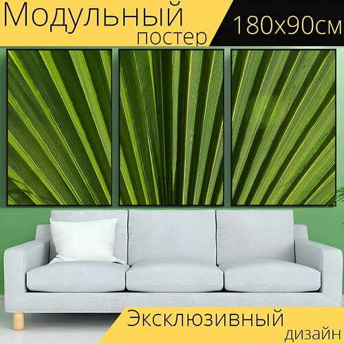 Модульный постер "Лист, пальмовый лист, зеленый" 180 x 90 см. для интерьера