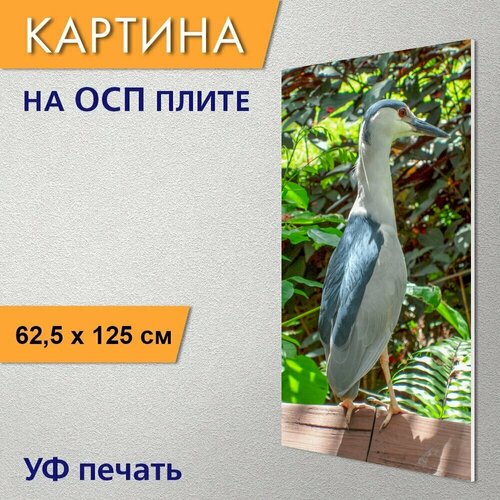 Вертикальная картина на ОСП "Природа, птица, животное" 62x125 см. для интерьериа