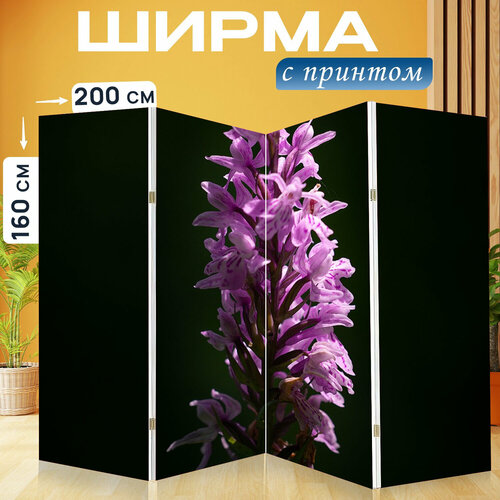 Ширма перегородка с принтом "Орхидея, розовый, цветок" на холсте - 200x160 см. для зонирования, раскладная