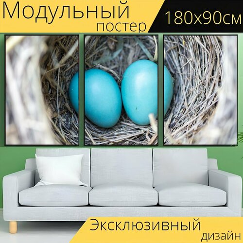 Модульный постер "Птица, яйца, гнездо" 180 x 90 см. для интерьера