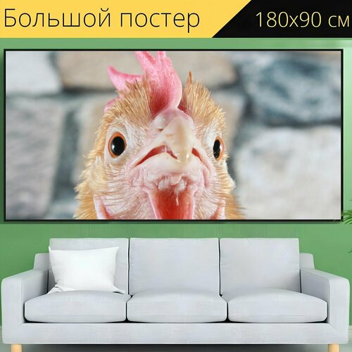 Большой постер "Курица, домашняя птица, животное" 180 x 90 см. для интерьера