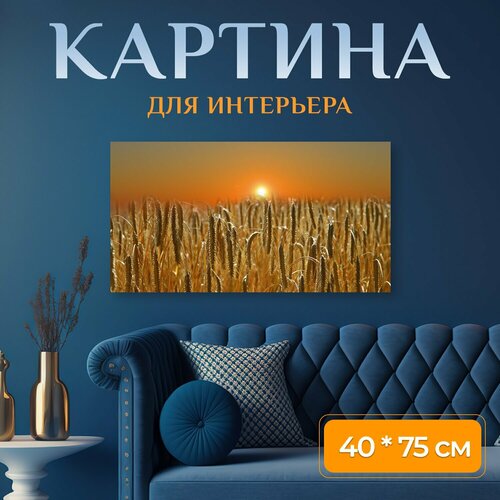 Картина на холсте "Заход солнца, кукурузное поле, зерновое поле" на подрамнике 75х40 см. для интерьера