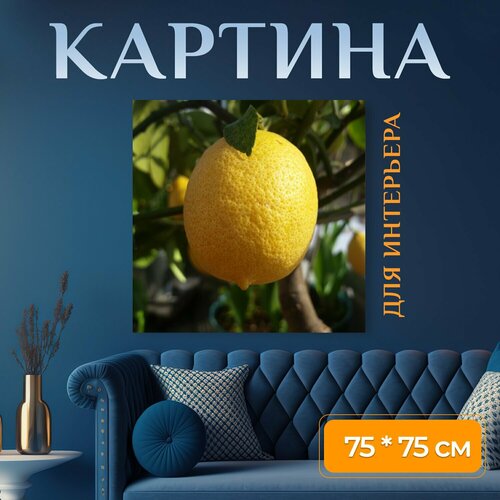 Картина на холсте "Лимон, желтый, цитрусовые" на подрамнике 75х75 см. для интерьера