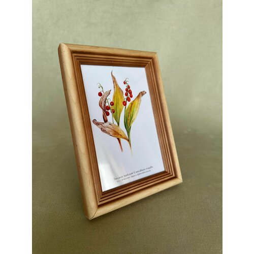 Картина с авторской открыткой "Ландыш майский" ботанического художника в рамке 18*13 см