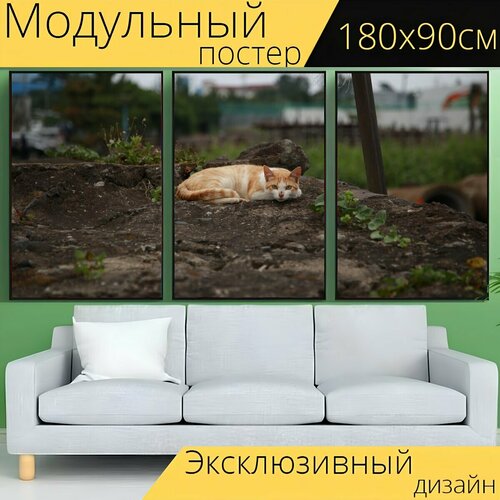Модульный постер "Кошка, животное, домашние питомцы" 180 x 90 см. для интерьера