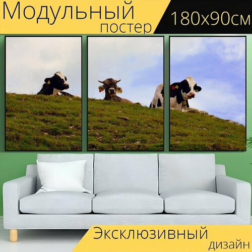 Модульный постер "Корова, пастбище, отдых" 180 x 90 см. для интерьера