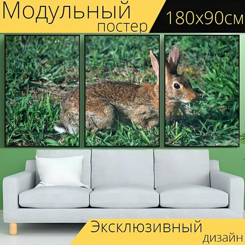 Модульный постер "Дикий кролик, дикая природа, милый" 180 x 90 см. для интерьера