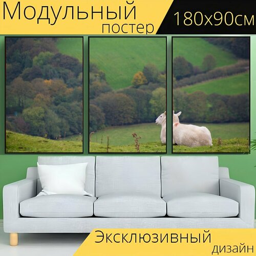 Модульный постер "Овец, пейзаж, холм" 180 x 90 см. для интерьера