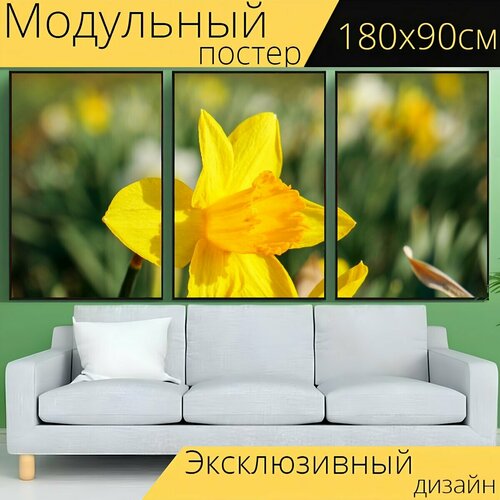 Модульный постер "Цветок, цвести, весна" 180 x 90 см. для интерьера