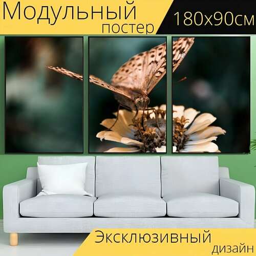 Модульный постер "Насекомые, бабочка, цветок" 180 x 90 см. для интерьера