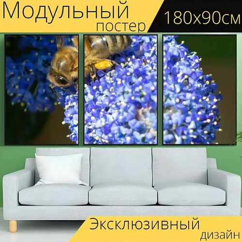 Модульный постер "Пыльцы на пчелу, пчела на цветке, одуванчик" 180 x 90 см. для интерьера
