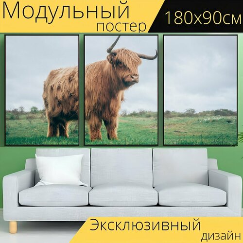 Модульный постер "Горный скот, рога, пастбище" 180 x 90 см. для интерьера