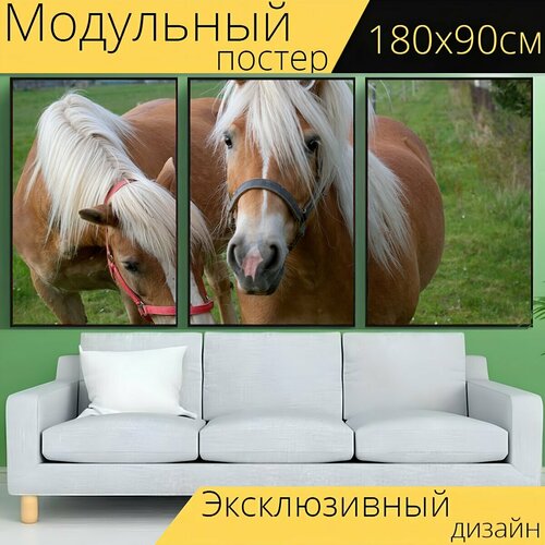 Модульный постер "Лошадь, коричневый, лошадиная голова" 180 x 90 см. для интерьера