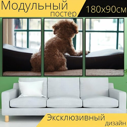 Модульный постер "Собака, щенок, собачий" 180 x 90 см. для интерьера