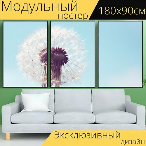 Модульный постер "Одуванчик, остроконечный цветок, цветок" 180 x 90 см. для интерьера