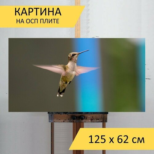 Картина на ОСП 125х62 см. "Птица, природа, колибри" горизонтальная, для интерьера, с креплениями